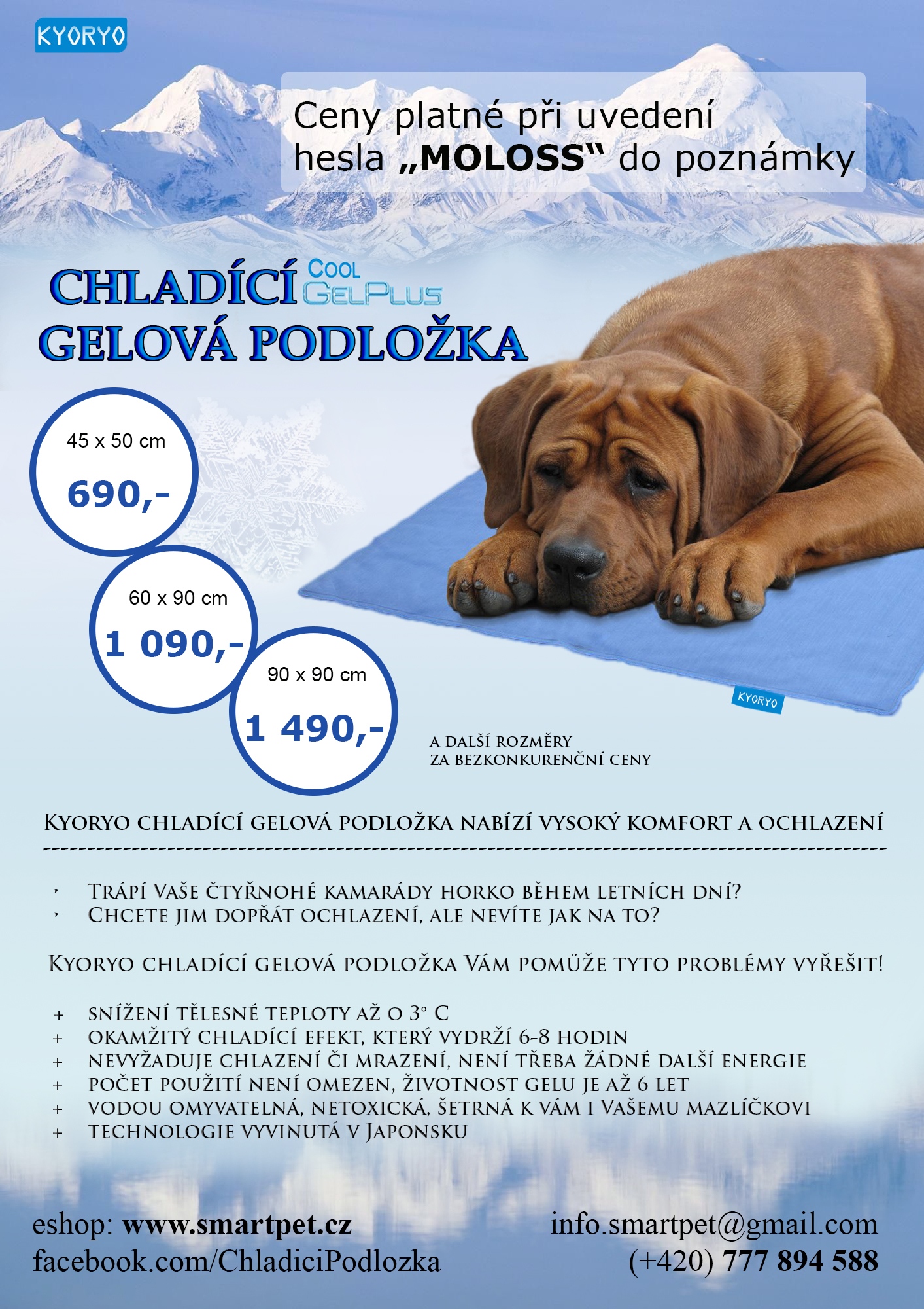 Aktuality, novinky - MOLOSS CLUB CZ - Americký bulldog, Anatolský ...